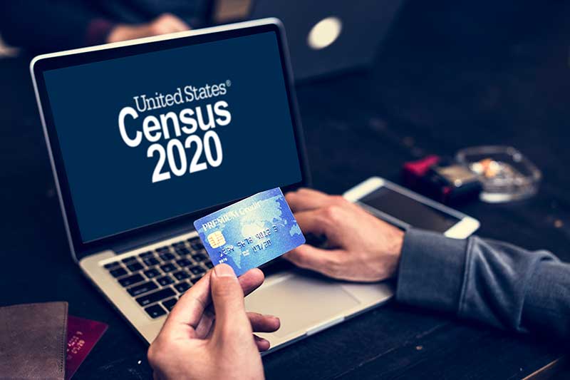 Scammer, Beware: Potential Census Vulnerabilities - IntelliGenesis LLC.
